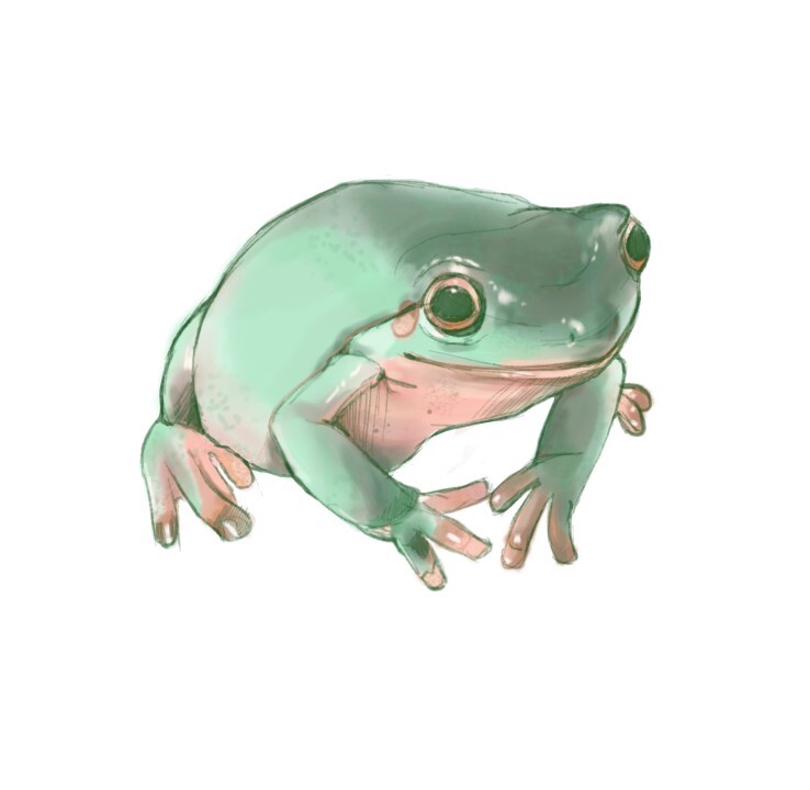 ArtStation - Frog