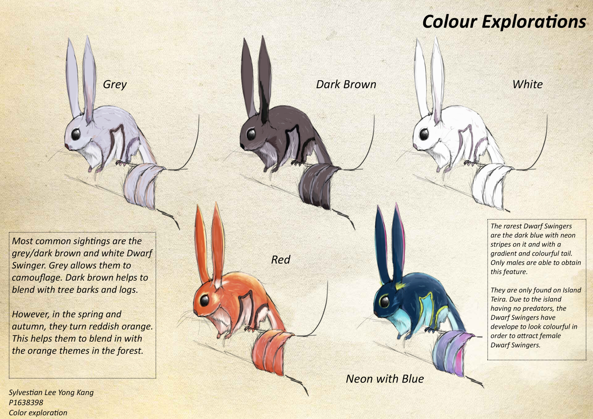 ArtStation - SP MAD School Work