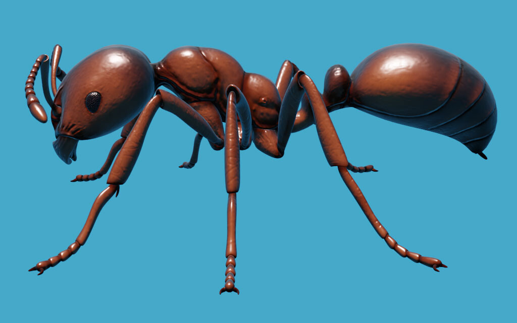 DinoReplicas - 3D Model Works - 3D Fire Ant - animated