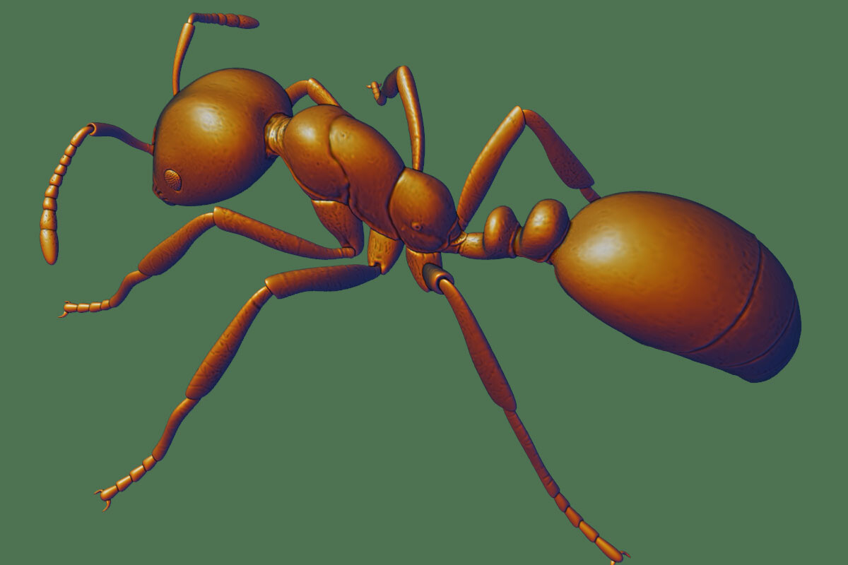 DinoReplicas - 3D Model Works - 3D Fire Ant - animated