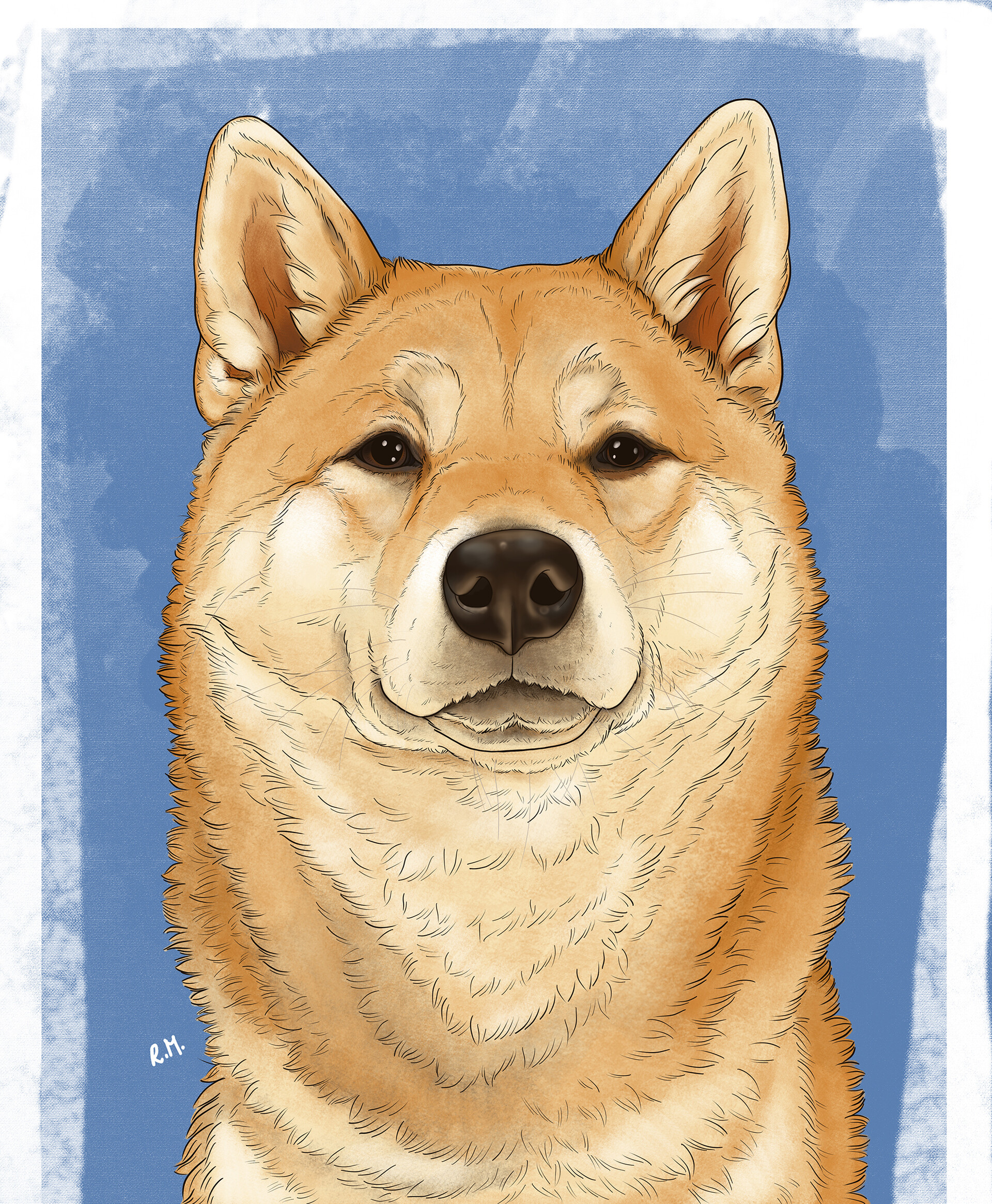 ArtStation - Shiba Portrait