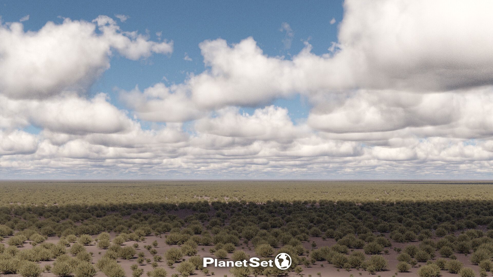 Sam Warren - Wasteland Study