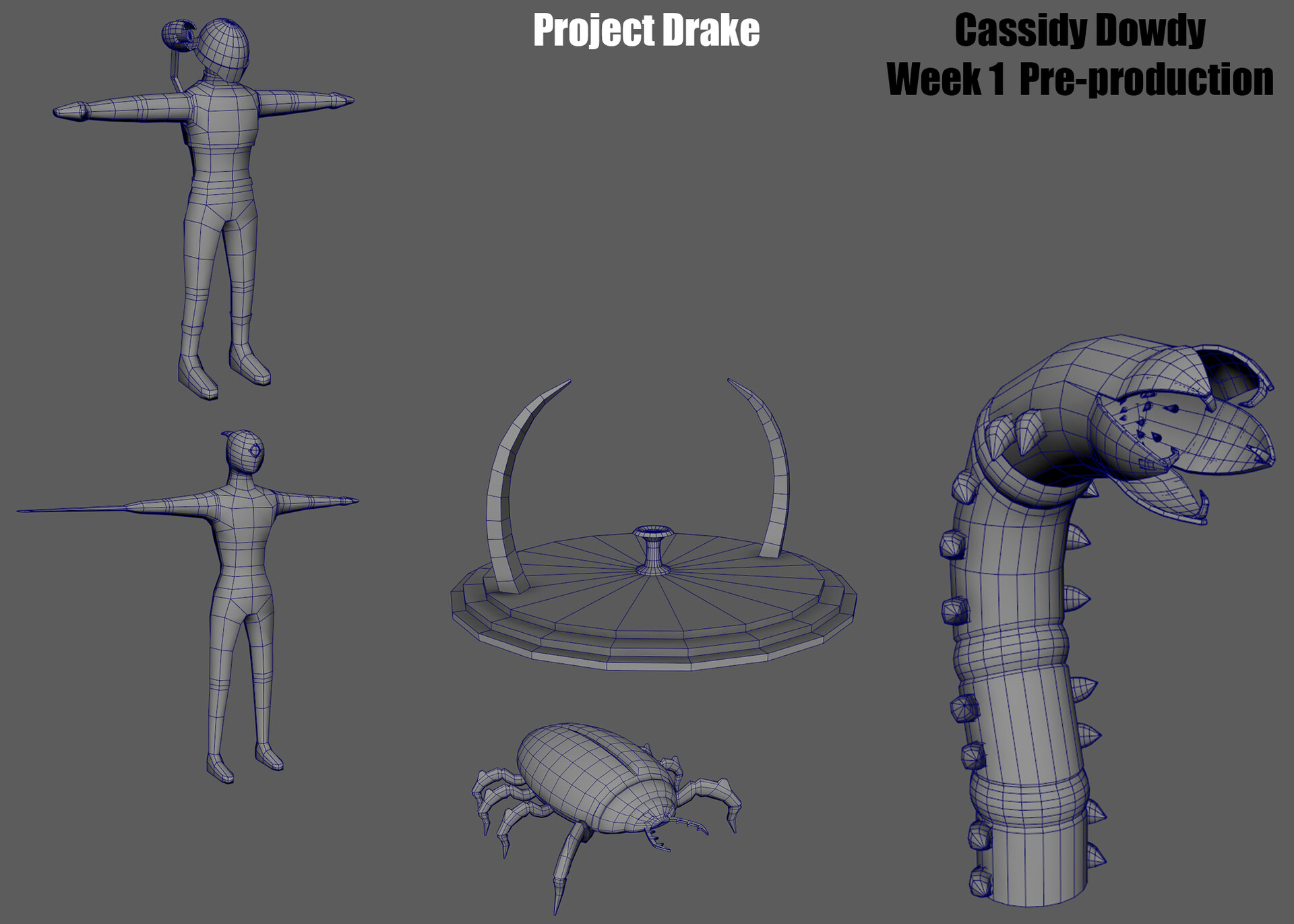 Cassidy Dowdy - Game Production: Project Drake