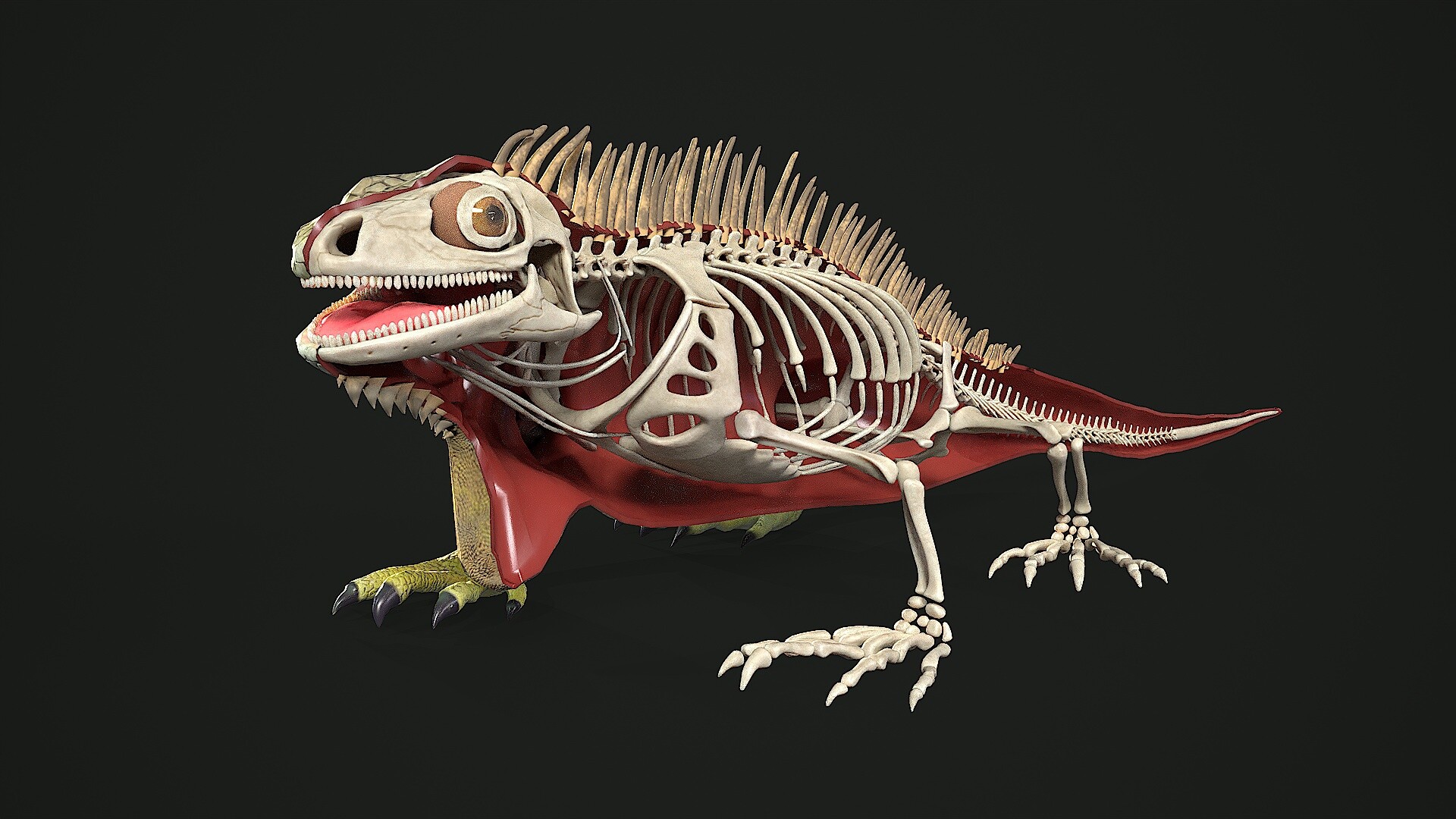 Sergey Egelsky - Iguana Skeleton