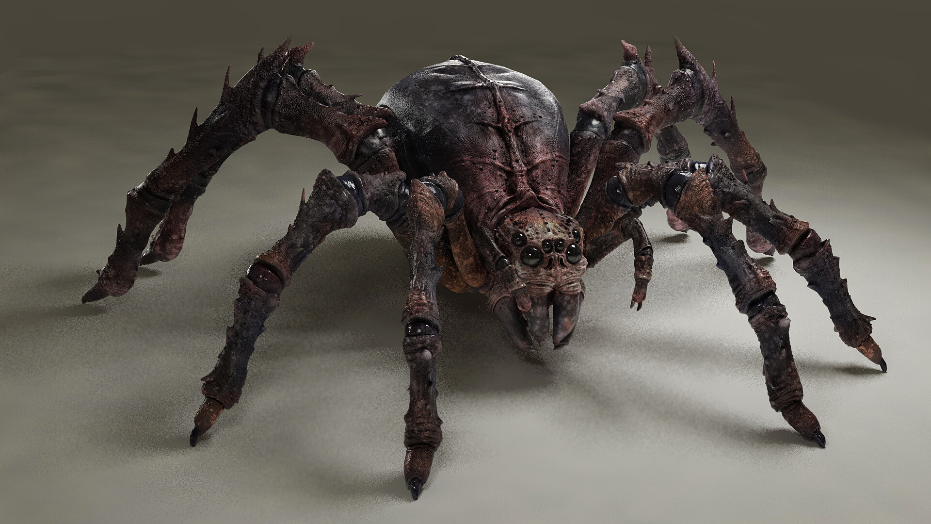 Shelob Pictures Real