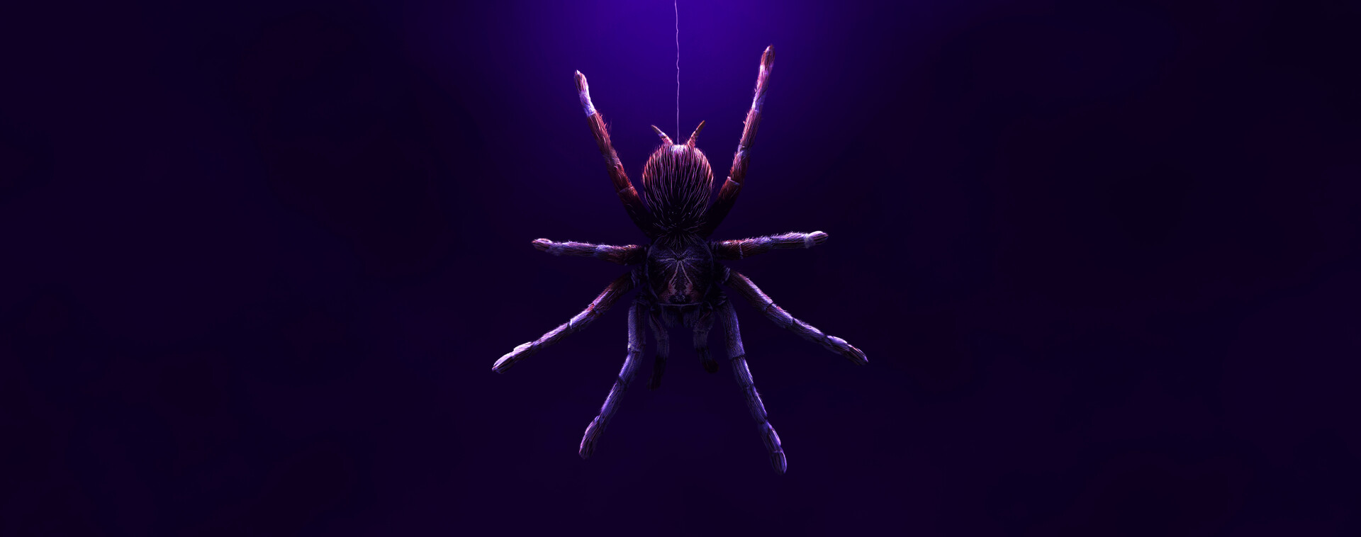 ArtStation - SPIDER