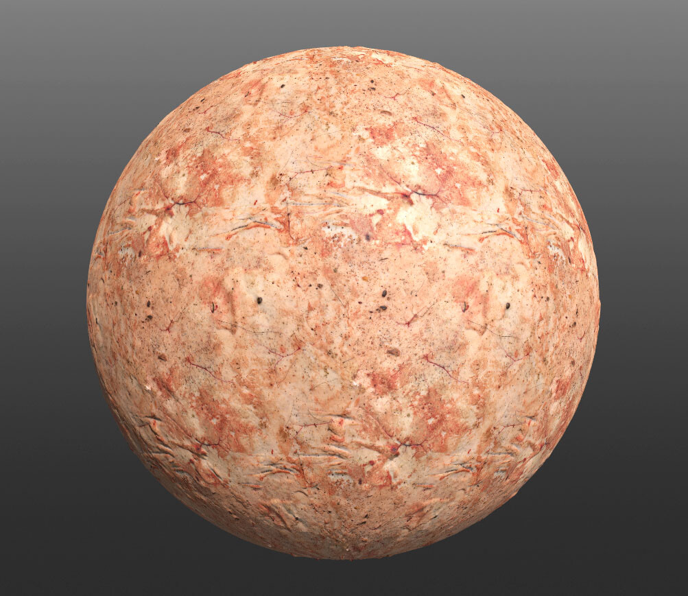 ArtStation - Animal flesh pbr seamless 4k Texture