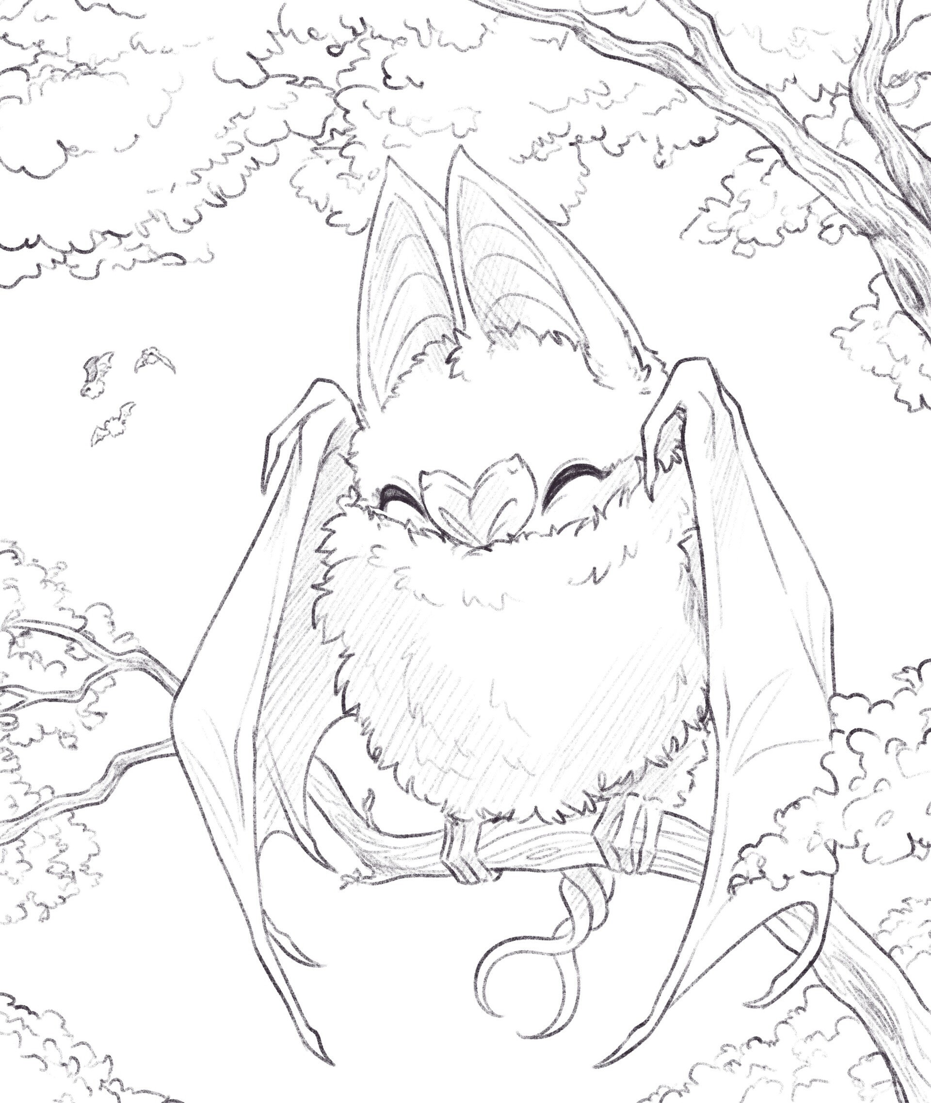pokemon coloring pages swoobat