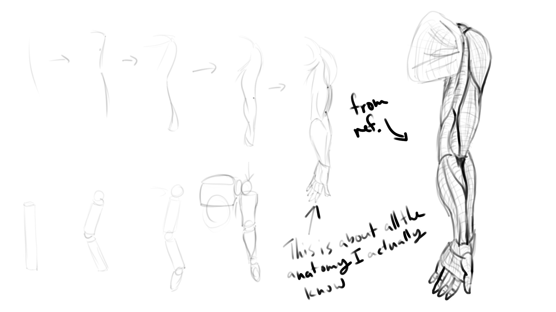 ArtStation - Arm Study from Reference