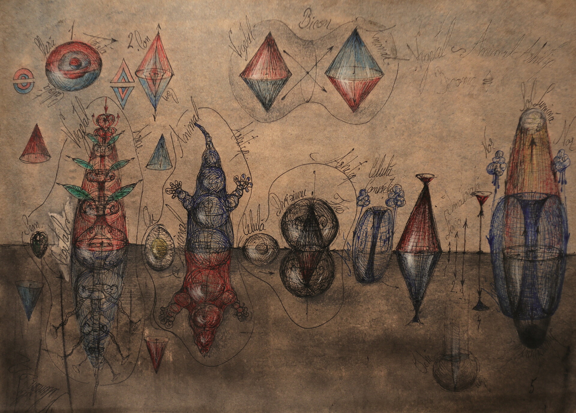 ArtStation - Vegetal animal bicone archetype