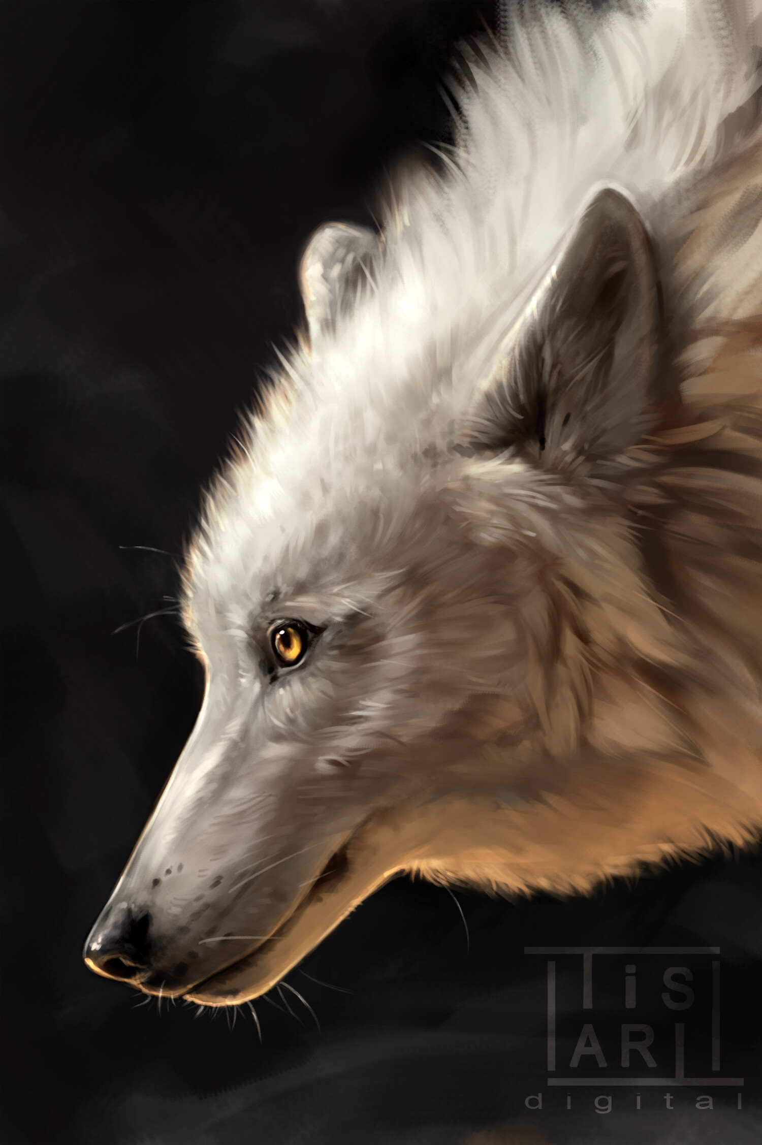 ArtStation - Wolf portrait study