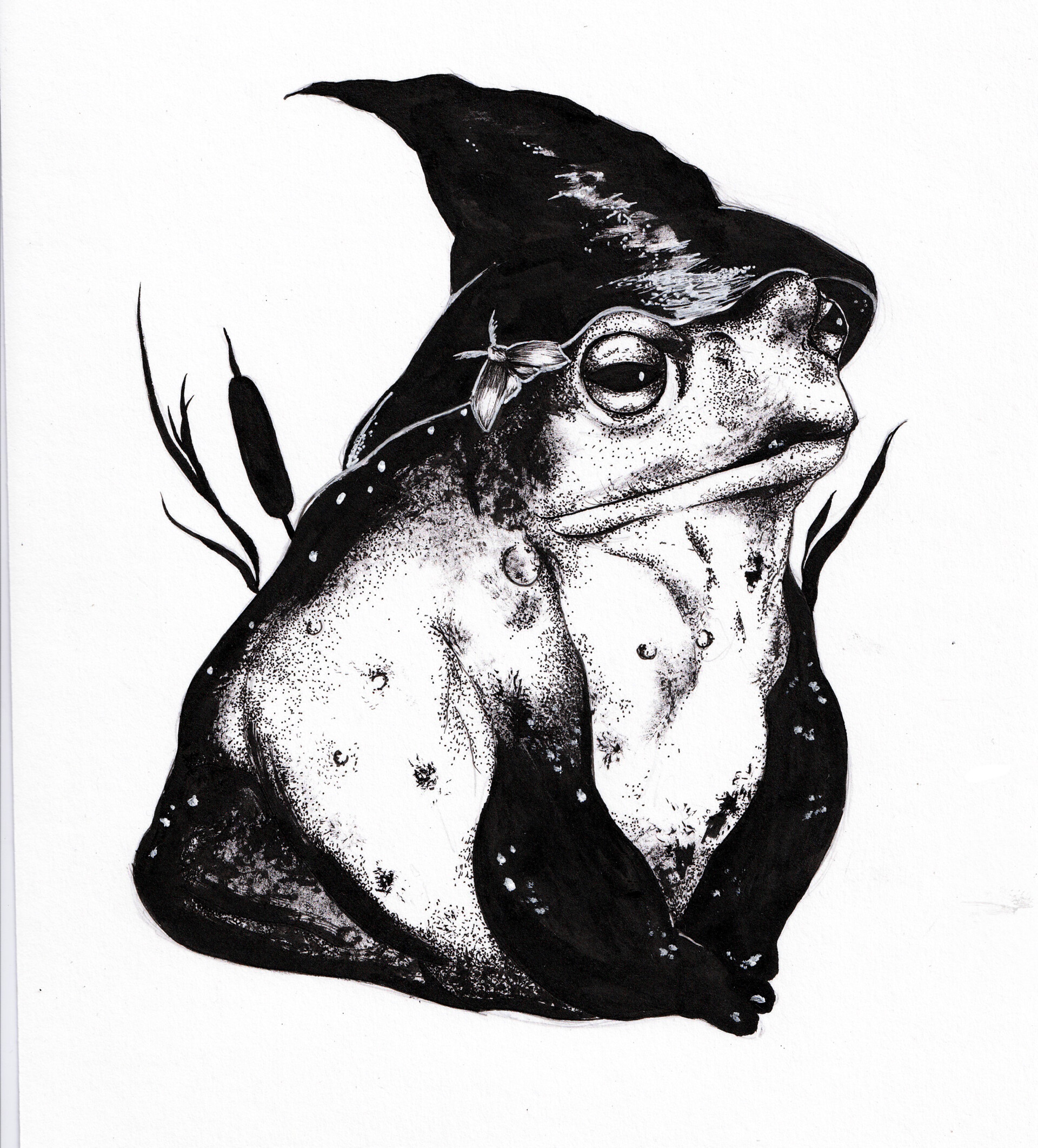 ArtStation - Wizard Toad