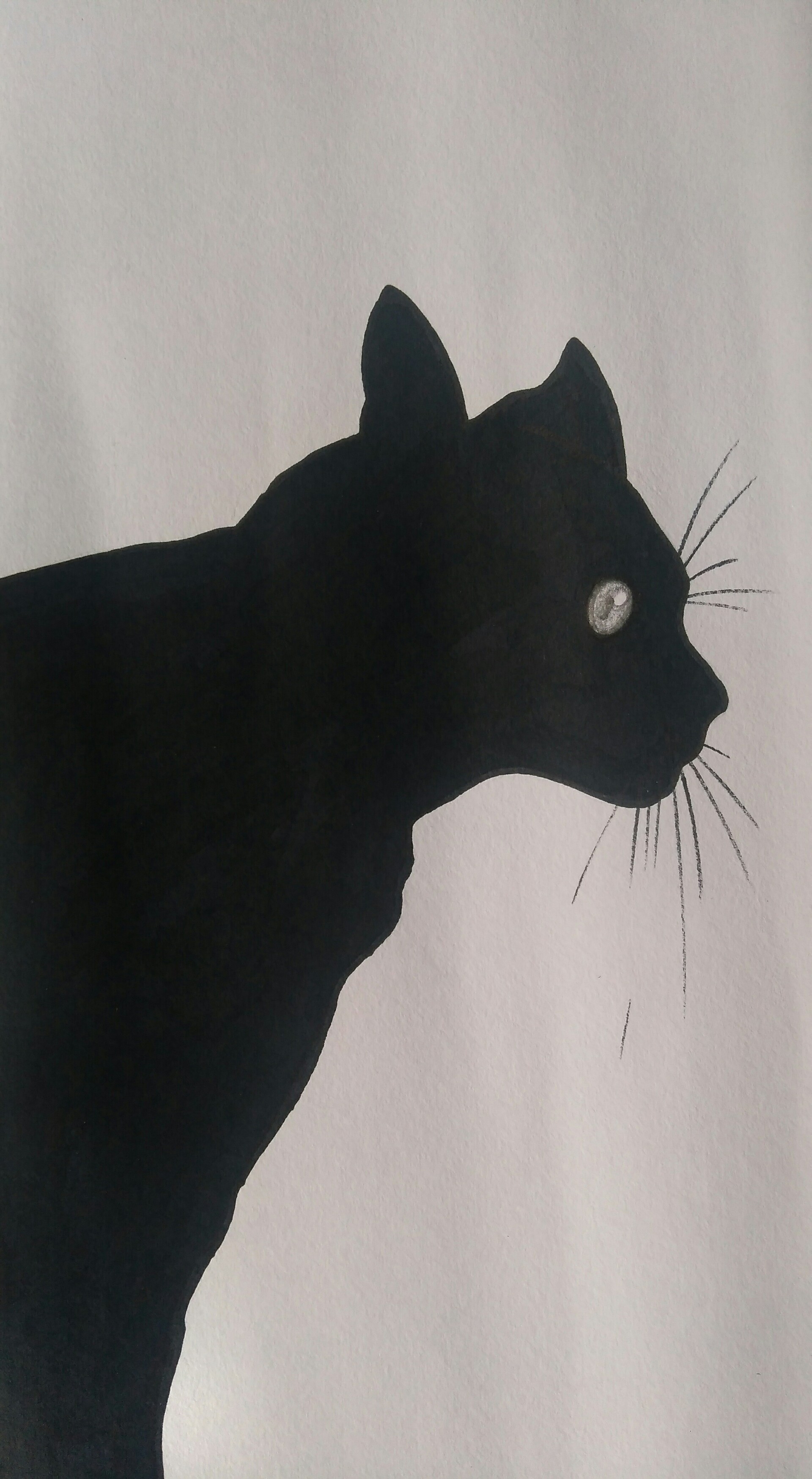 ArtStation - black cat