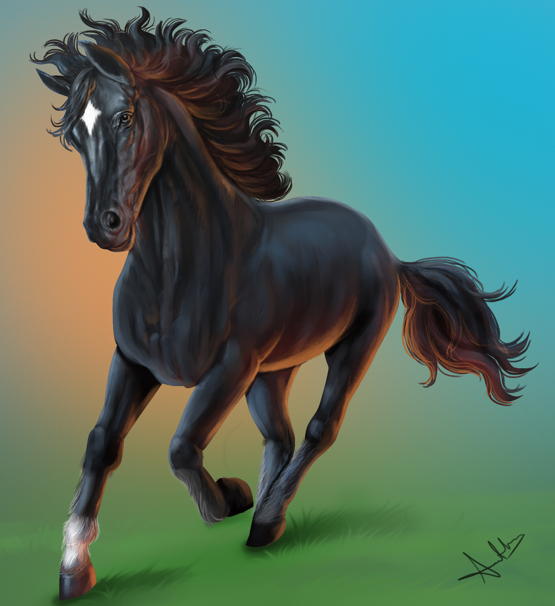Black Horse Drawing