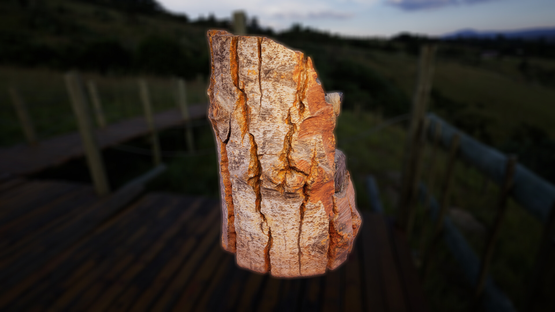 Collin Celarek - Wooden Bear 3D Model (Photogrammetry) - RealityCapture