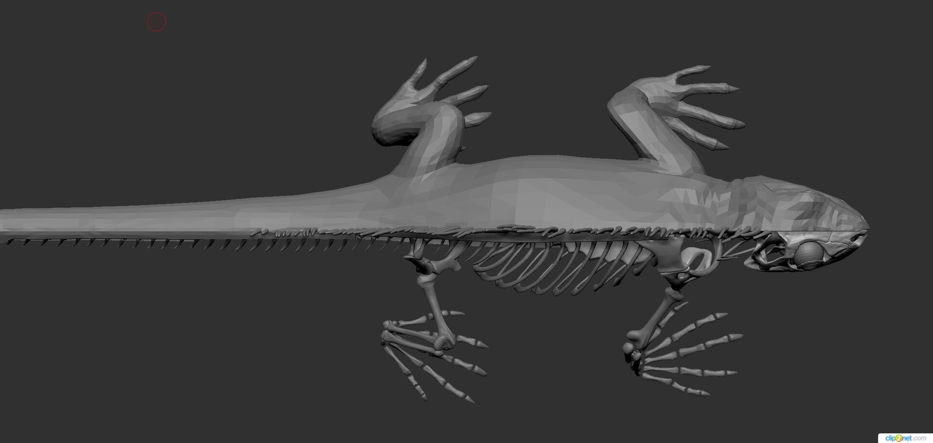 Sergey Egelsky - Iguana Skeleton