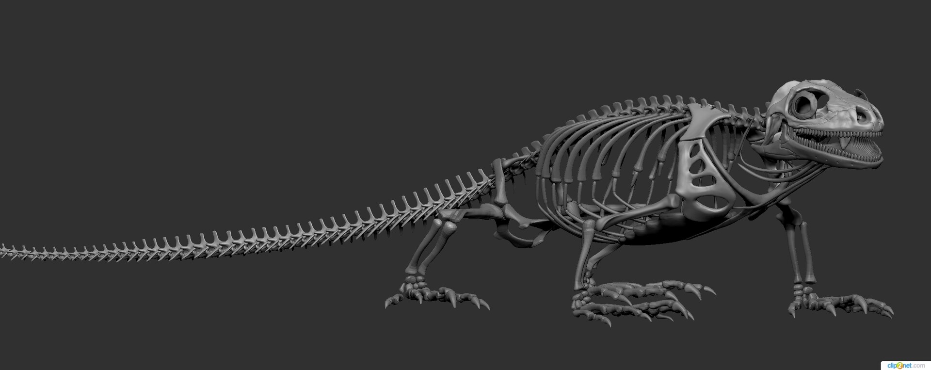 Sergey Egelsky - Iguana Skeleton