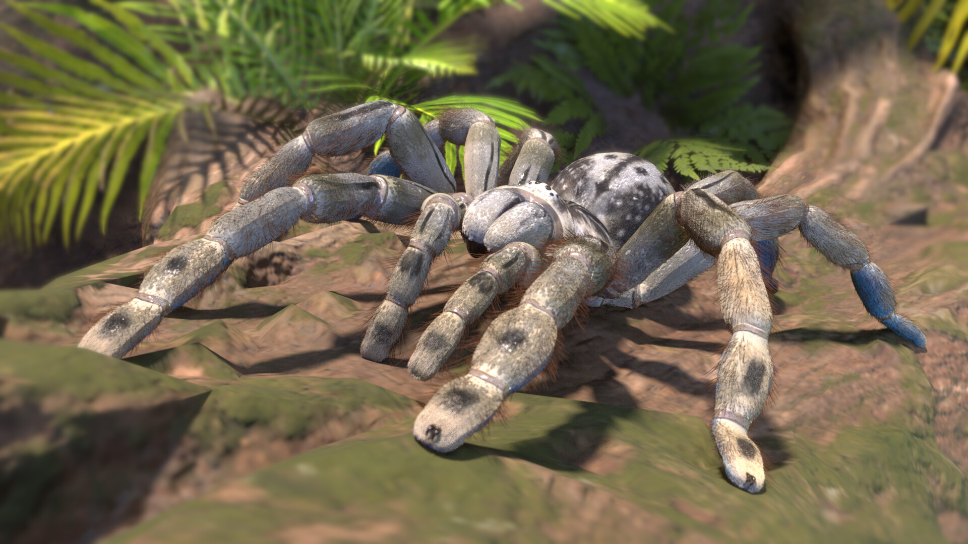 ArtStation - Heteroscodra Maculata - The Togo Starburst Tarantula
