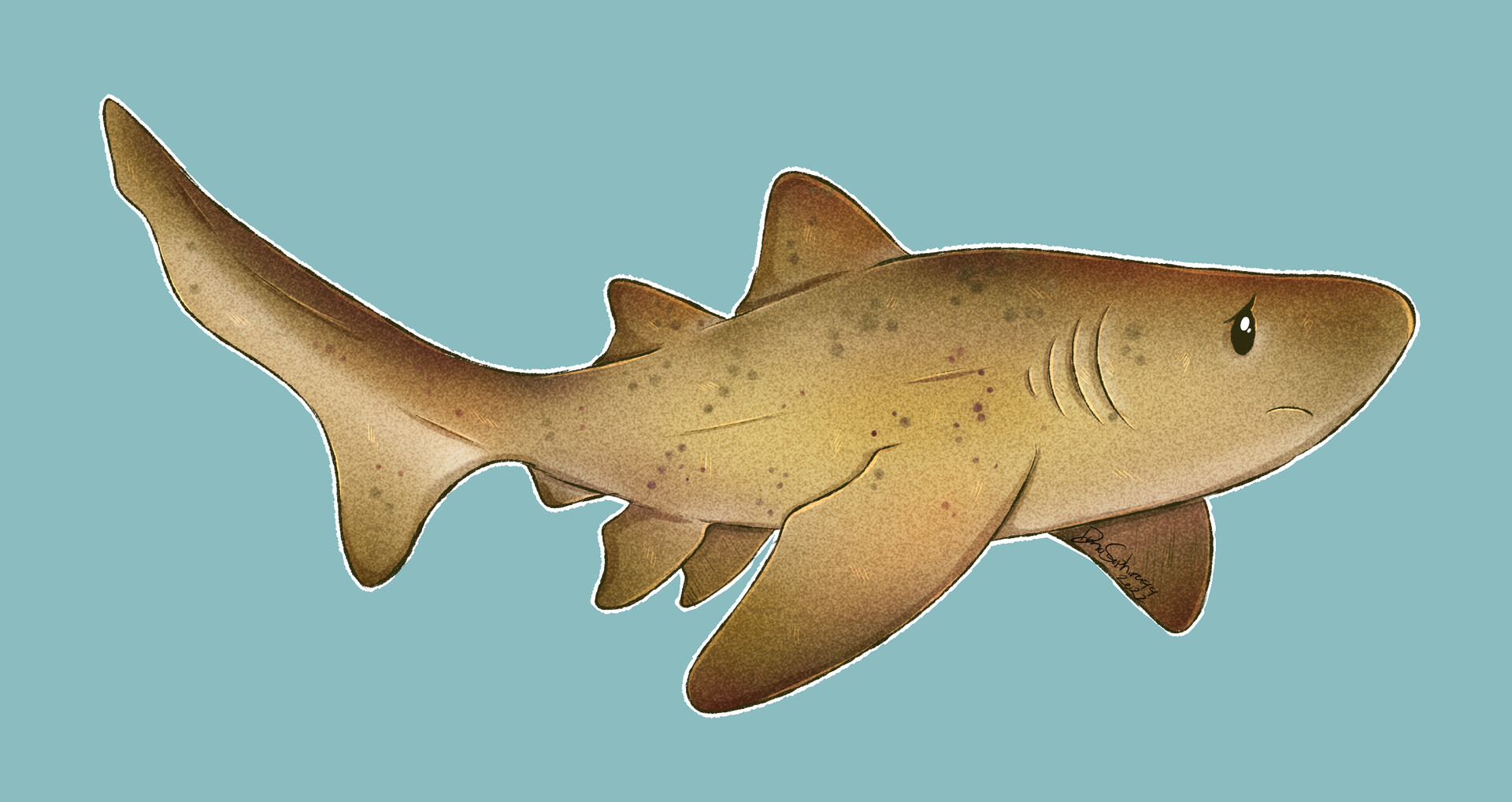 ArtStation - SharkTober day 1 Sandtiger shark