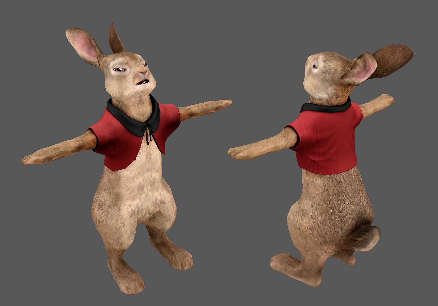 Karl Lodge - Peter Rabbit Run