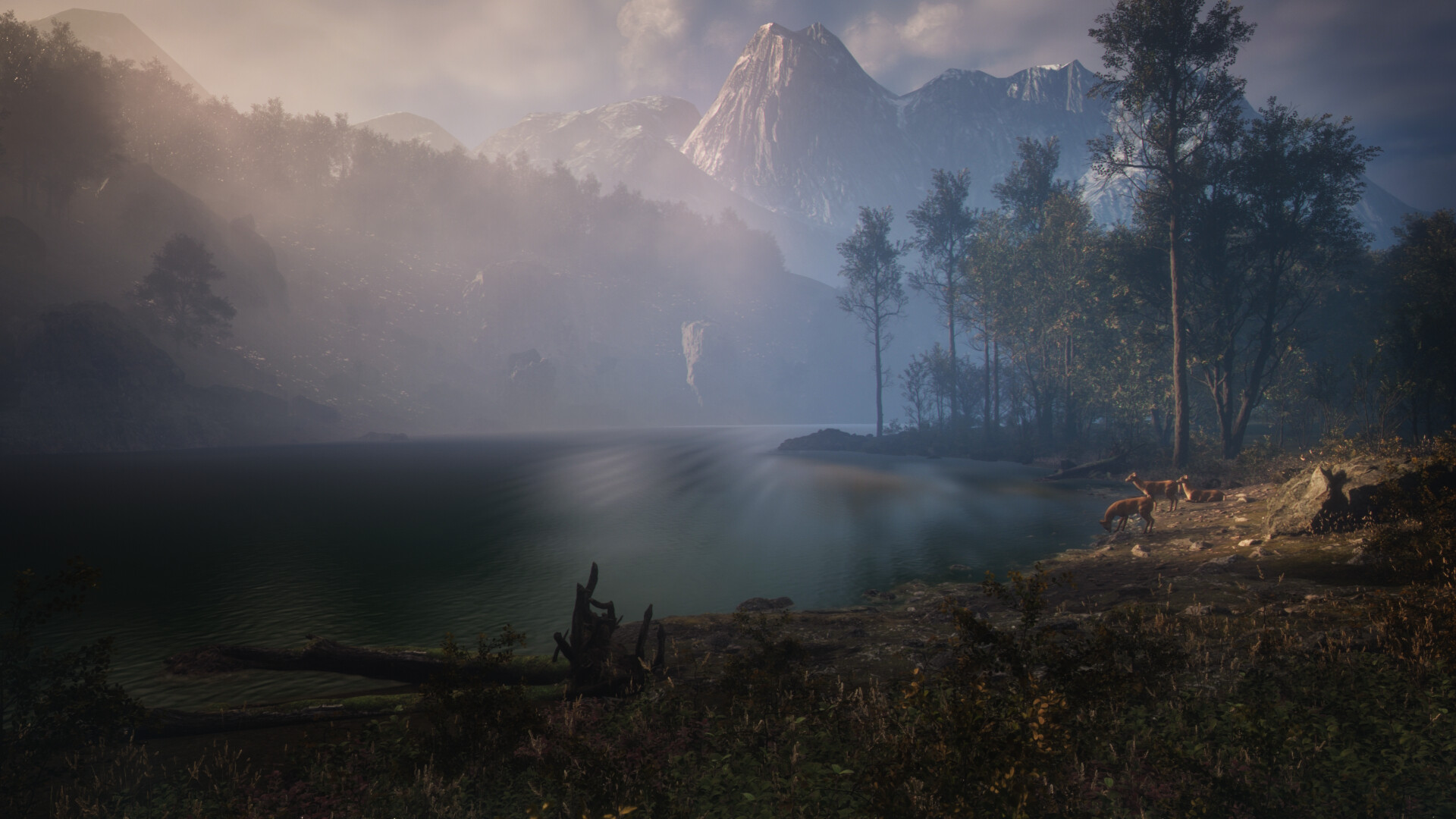 ArtStation - River side