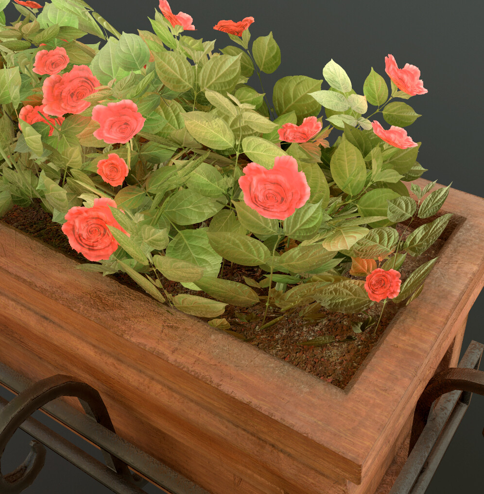 Natalia Campos Velazquez - Flower pot / Roses / Videogames