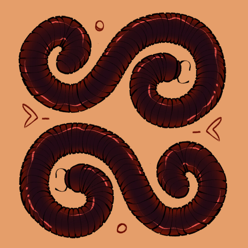 ArtStation - Zena DaFox