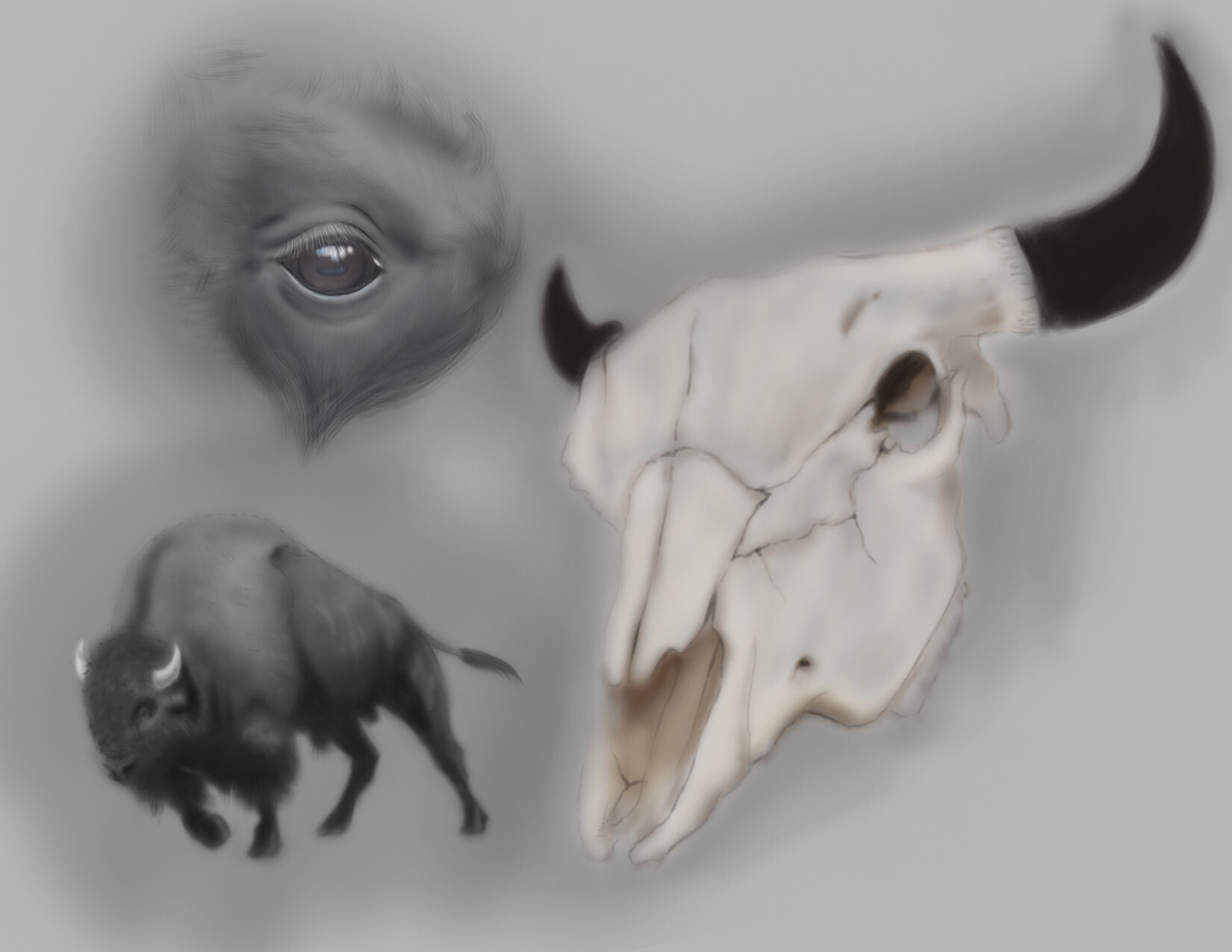 ArtStation - American Buffalo