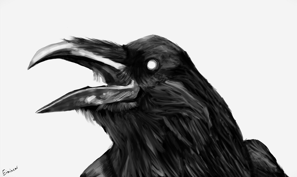 ArtStation - Raven Study