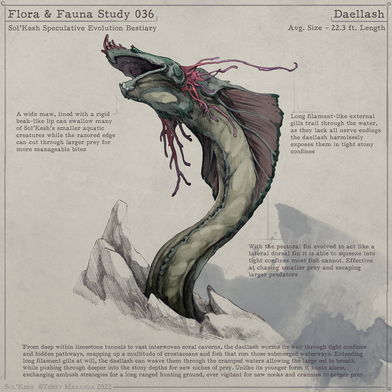 ArtStation - The Daellash