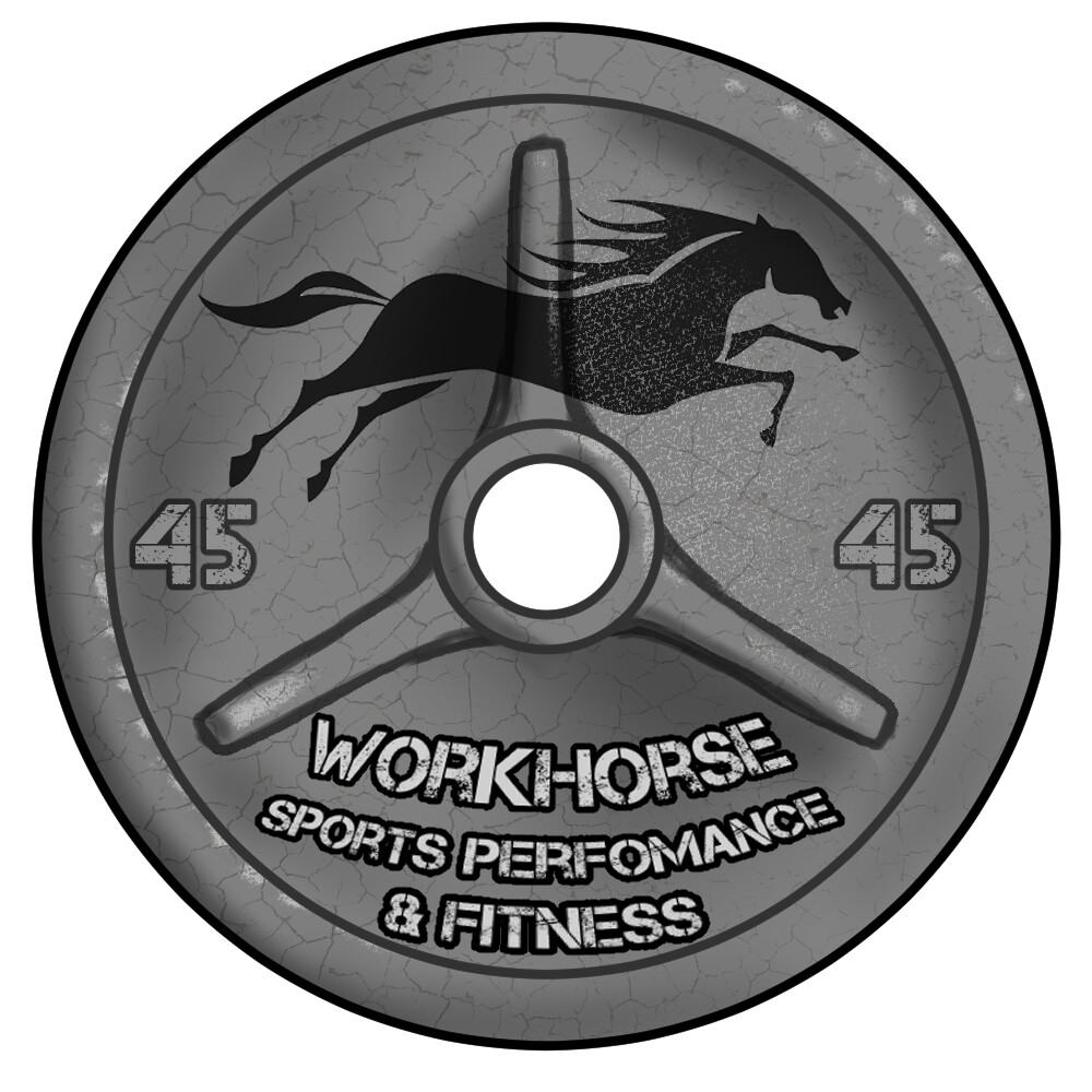 Alex Ziolkowski - Workhorse Logo Iterations