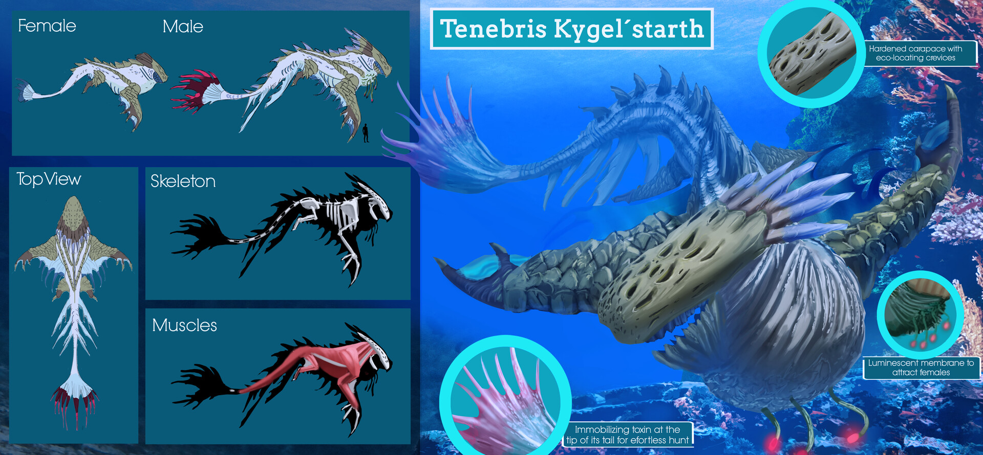 ArtStation - Creature Design: Tenebris Kygel´starth