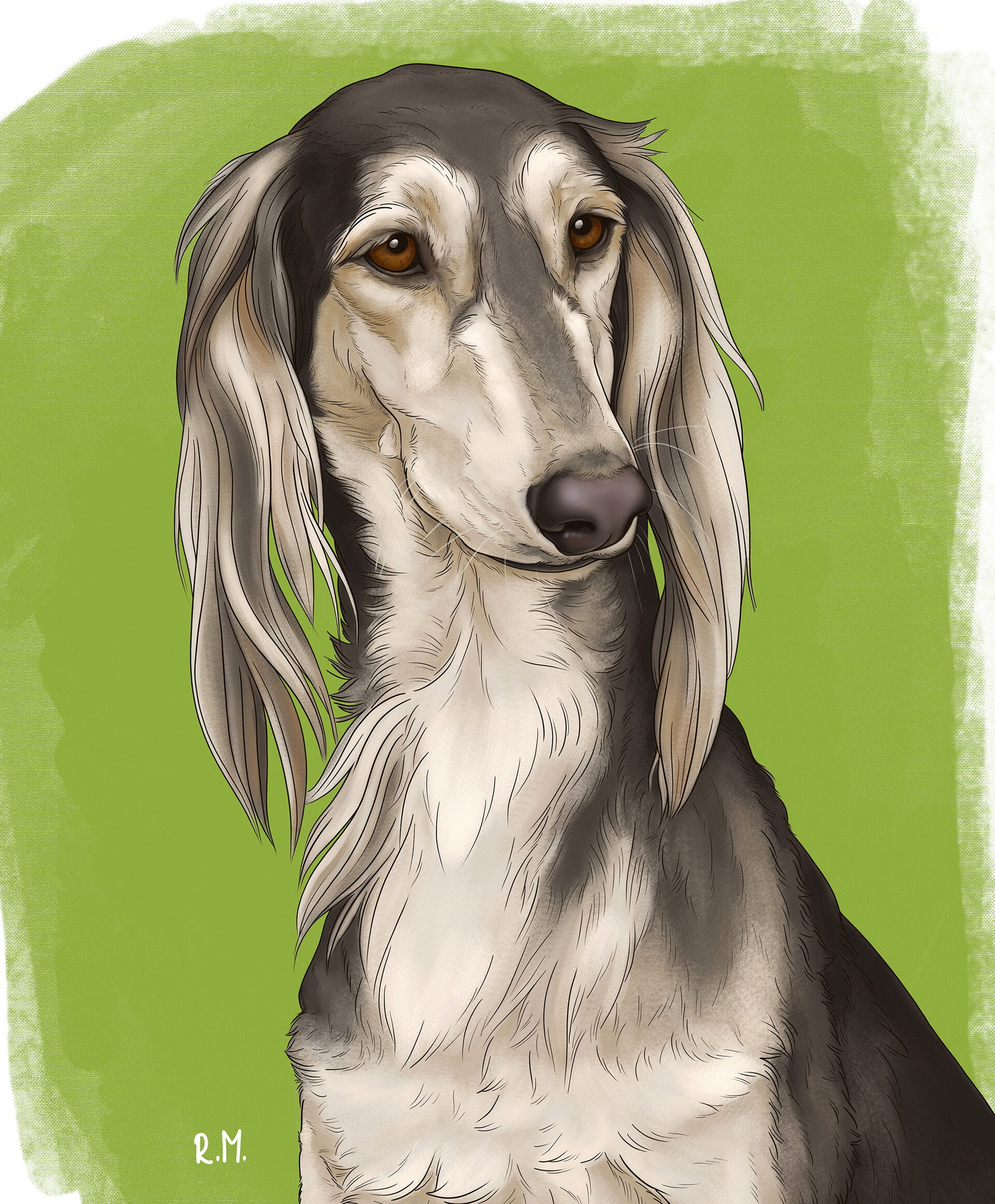 ArtStation - Saluki portrait