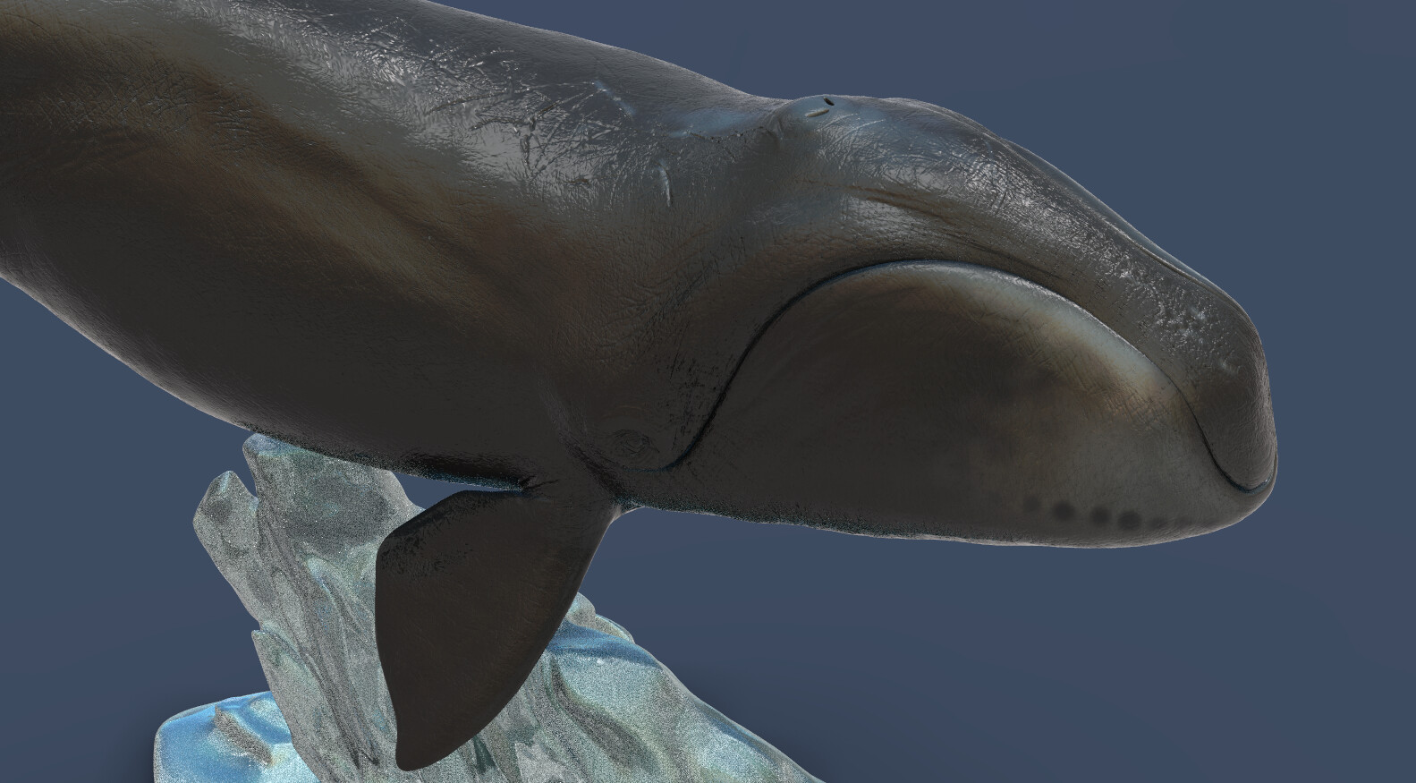 ArtStation - bowhead whale