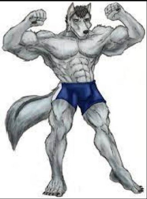 how to draw muscle furry