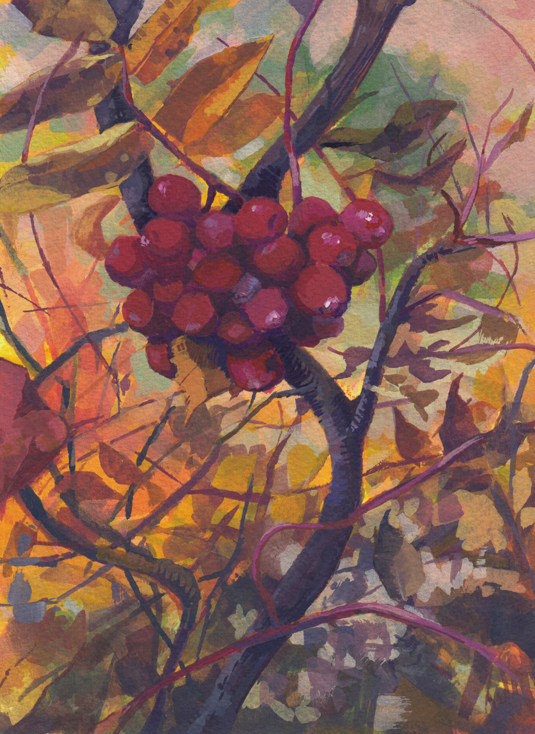 ArtStation - Berries