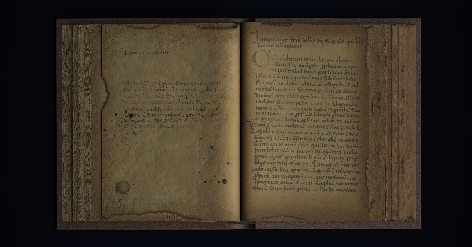 Shelby Minniti - Worn Notebook