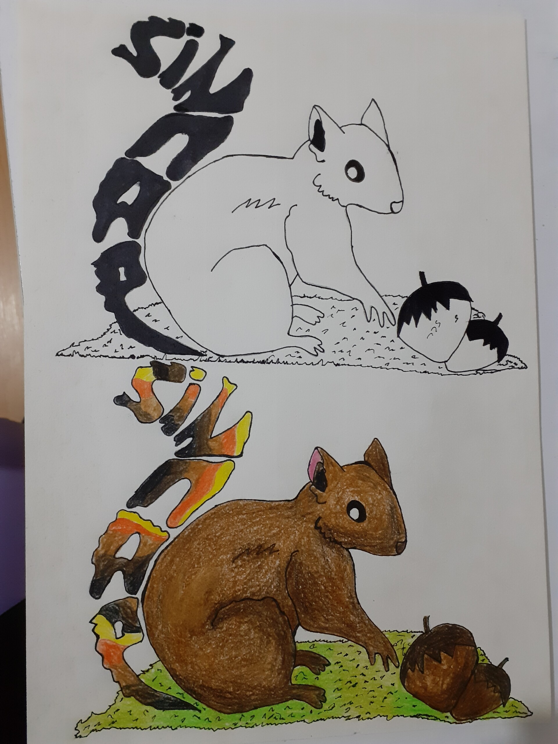 ArtStation - Squirrel