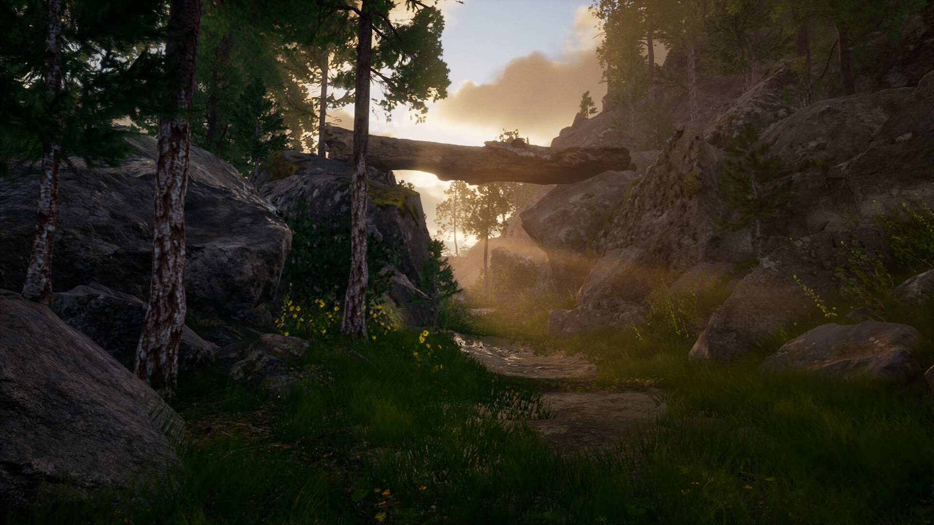 ArtStation - Forest scene relight