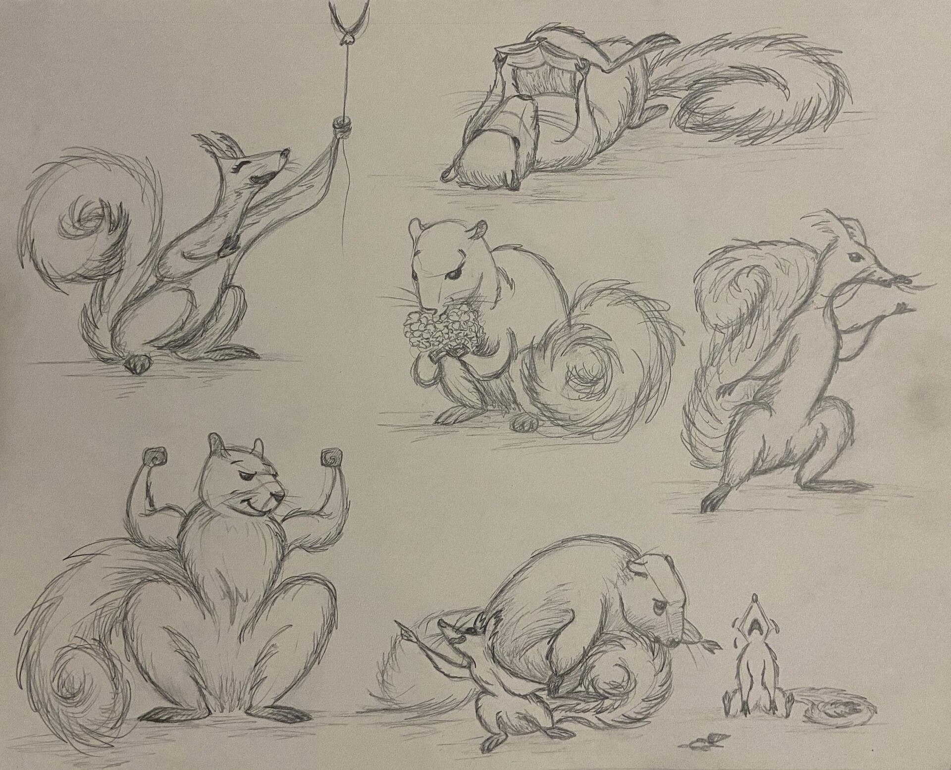 ArtStation - Squirrel Sketches