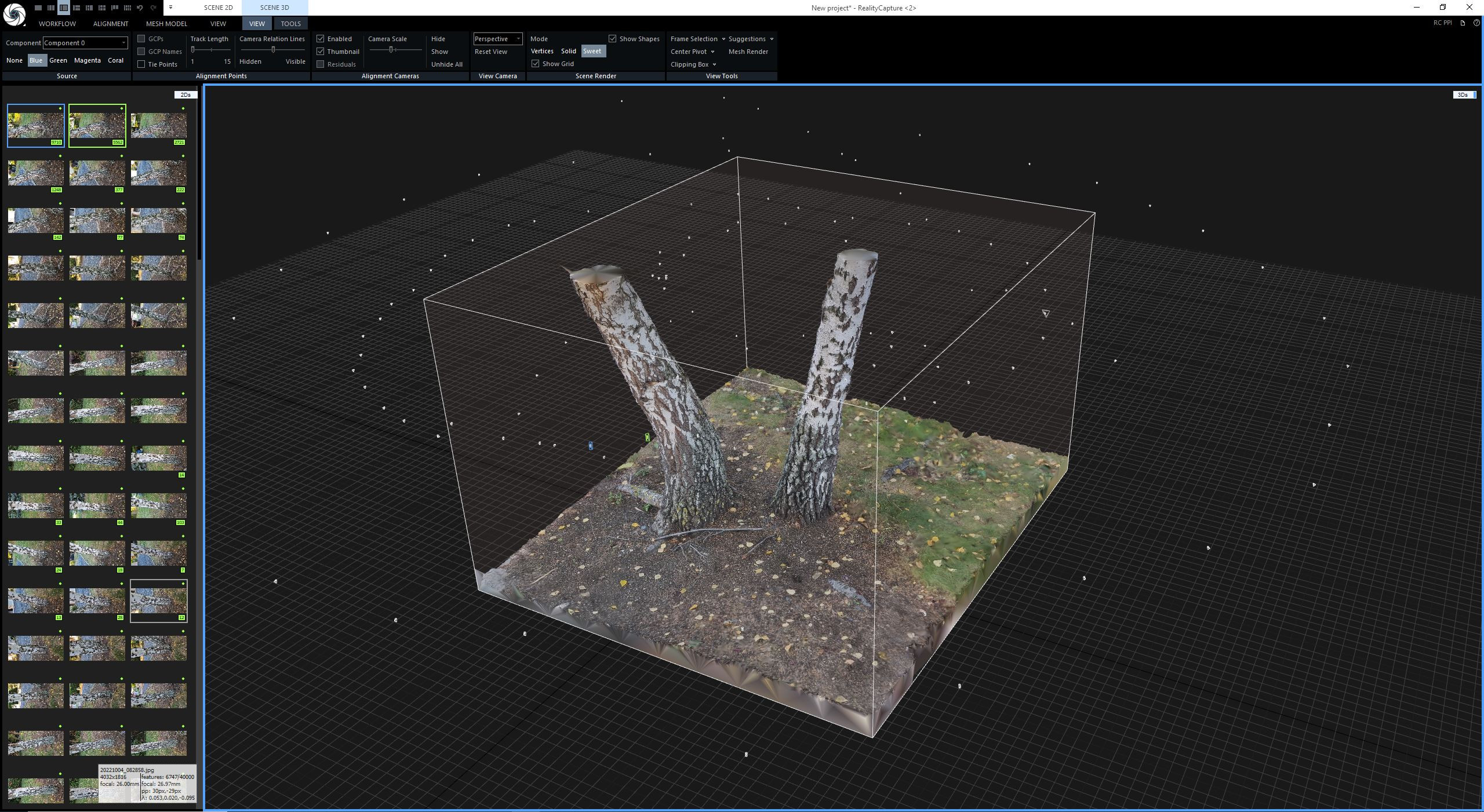 Benoit Bellard - Photogrammetry tree : In the Center of Middle Earth UE5