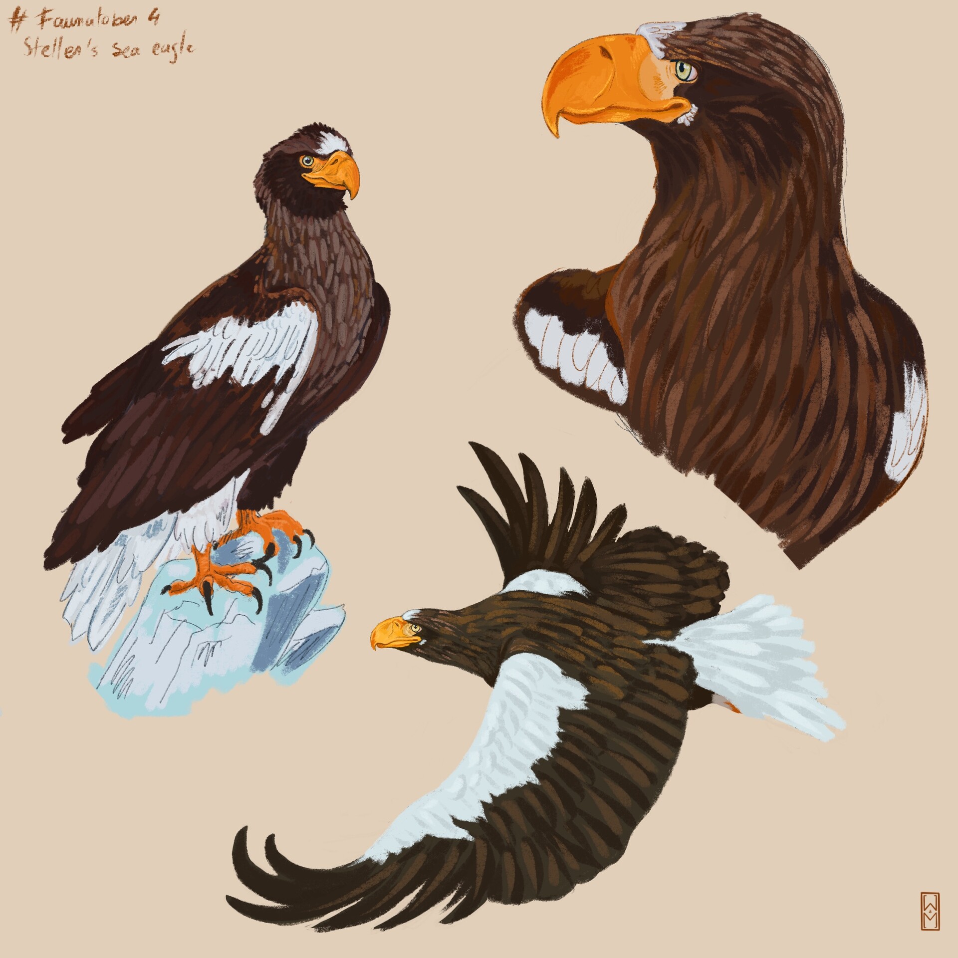 ArtStation - Steller's sea eagle