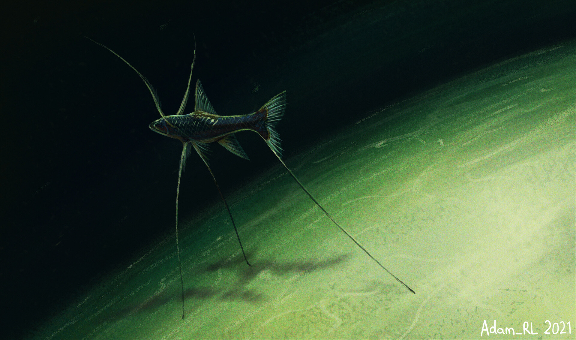 Adam _RL - Animal Studies (2020- 2024 )