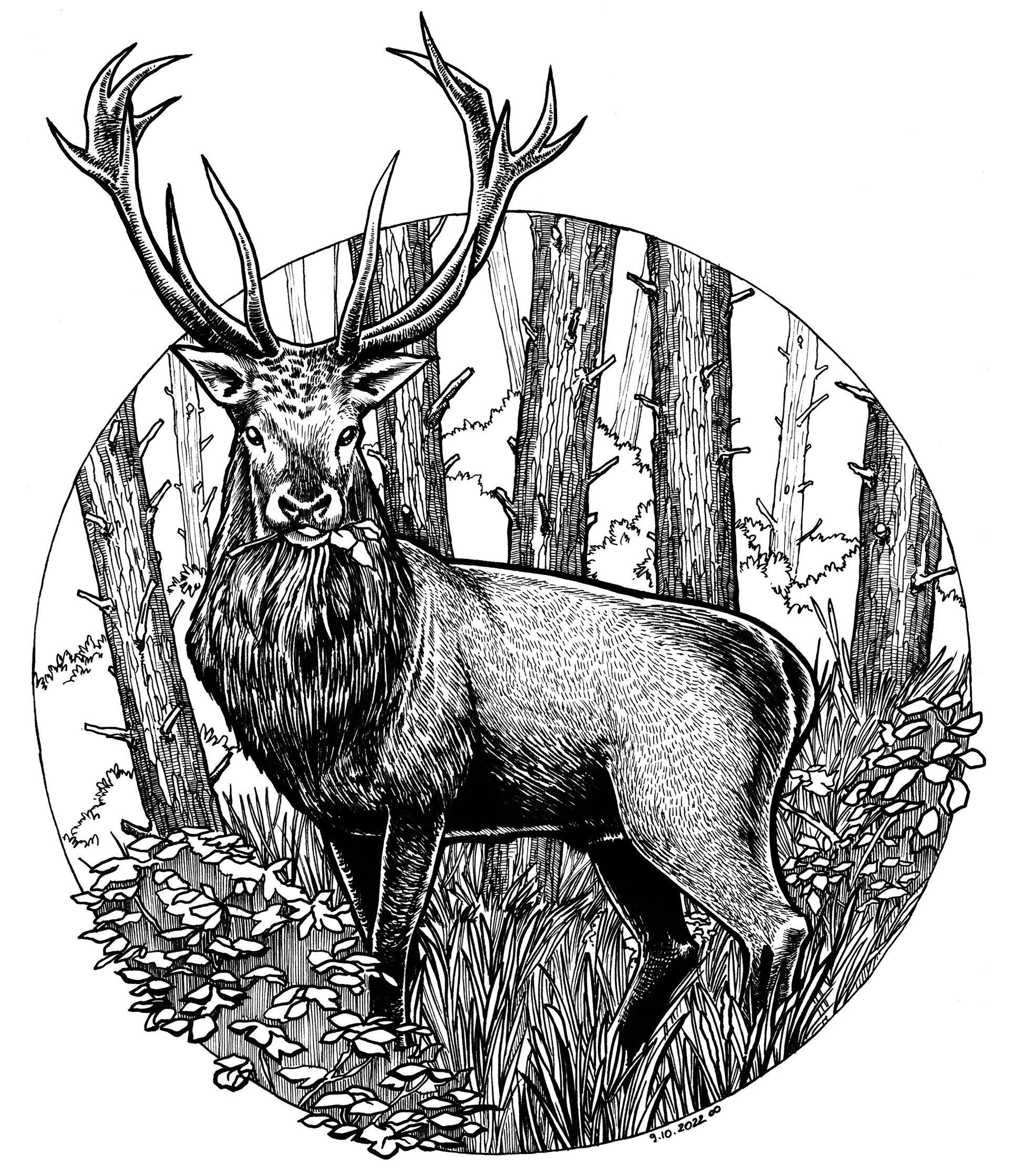 ArtStation - Inktober Deer