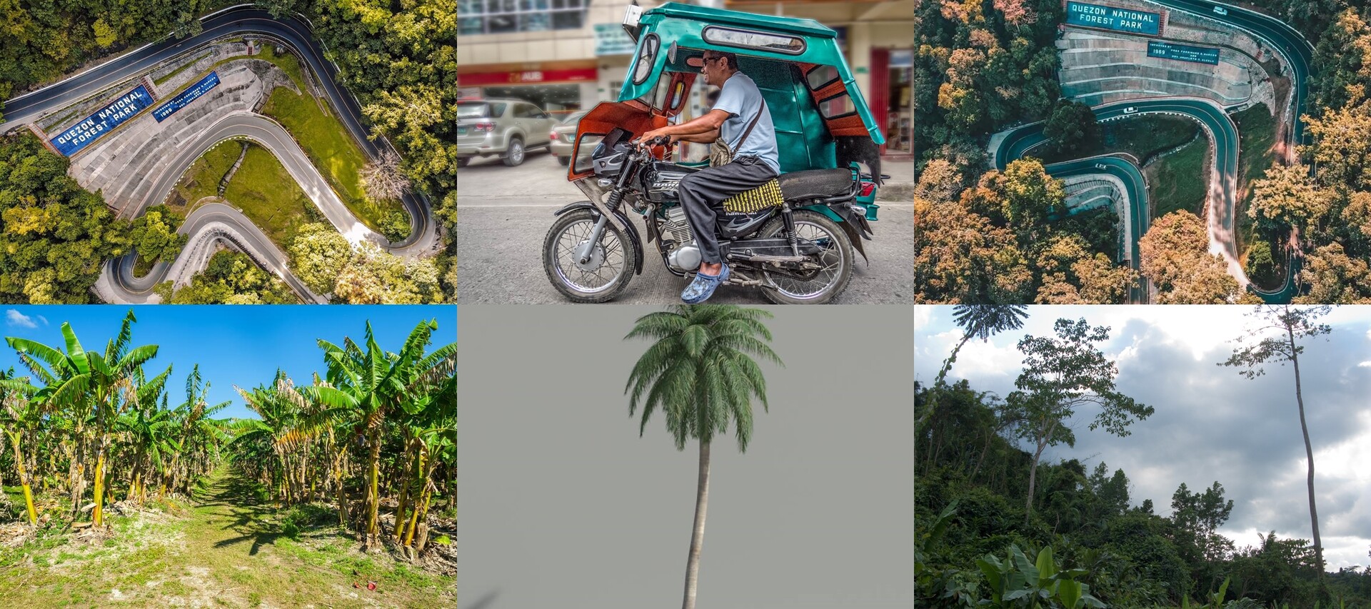 Astra Alinea - NGISI: Xyphos Showdown 2022 Entry (Luigi Lim, Kim ...