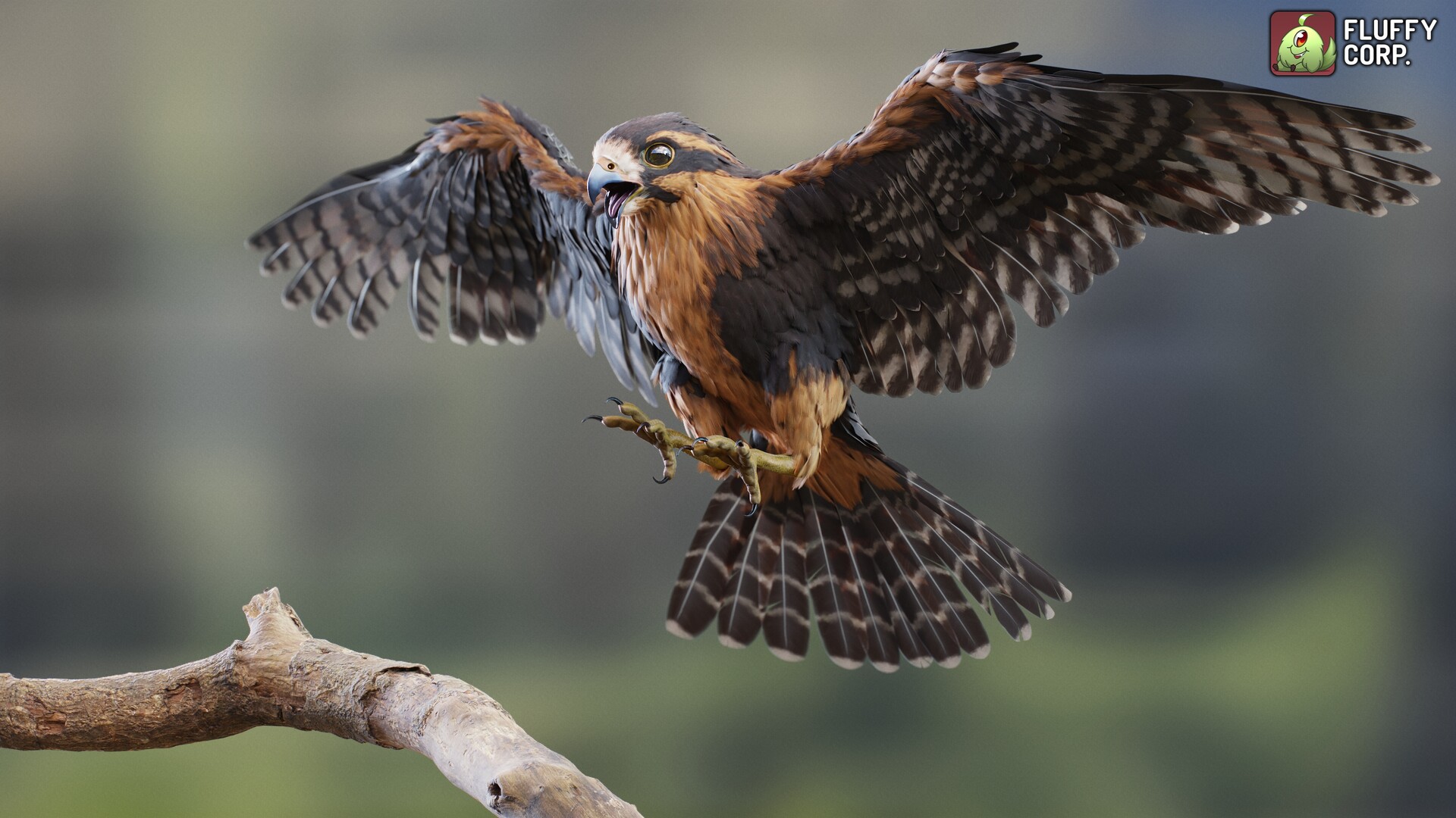 Fluffy corp - The Hawk