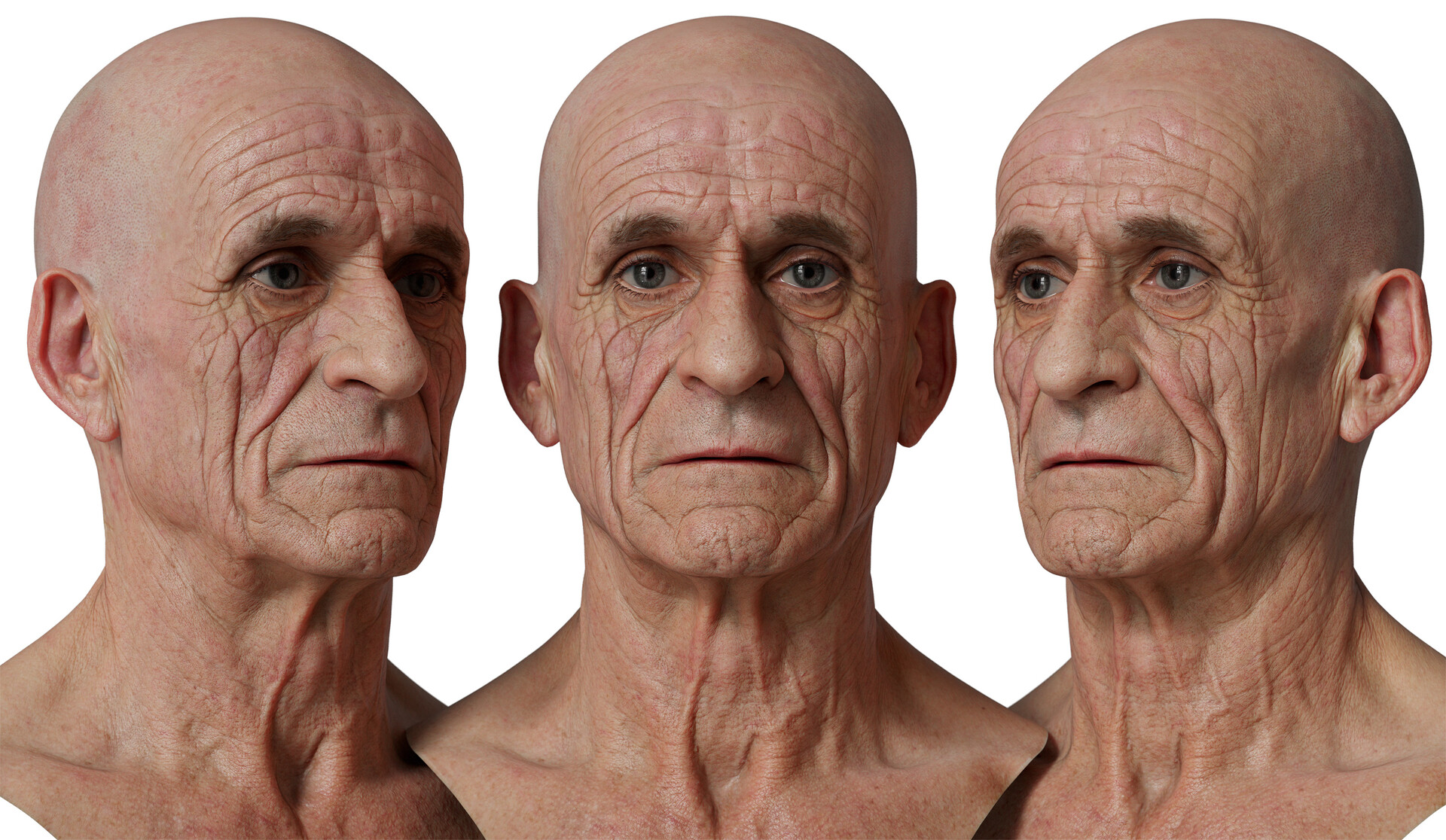 3D Scan Store - 80 x New HD Head Scans