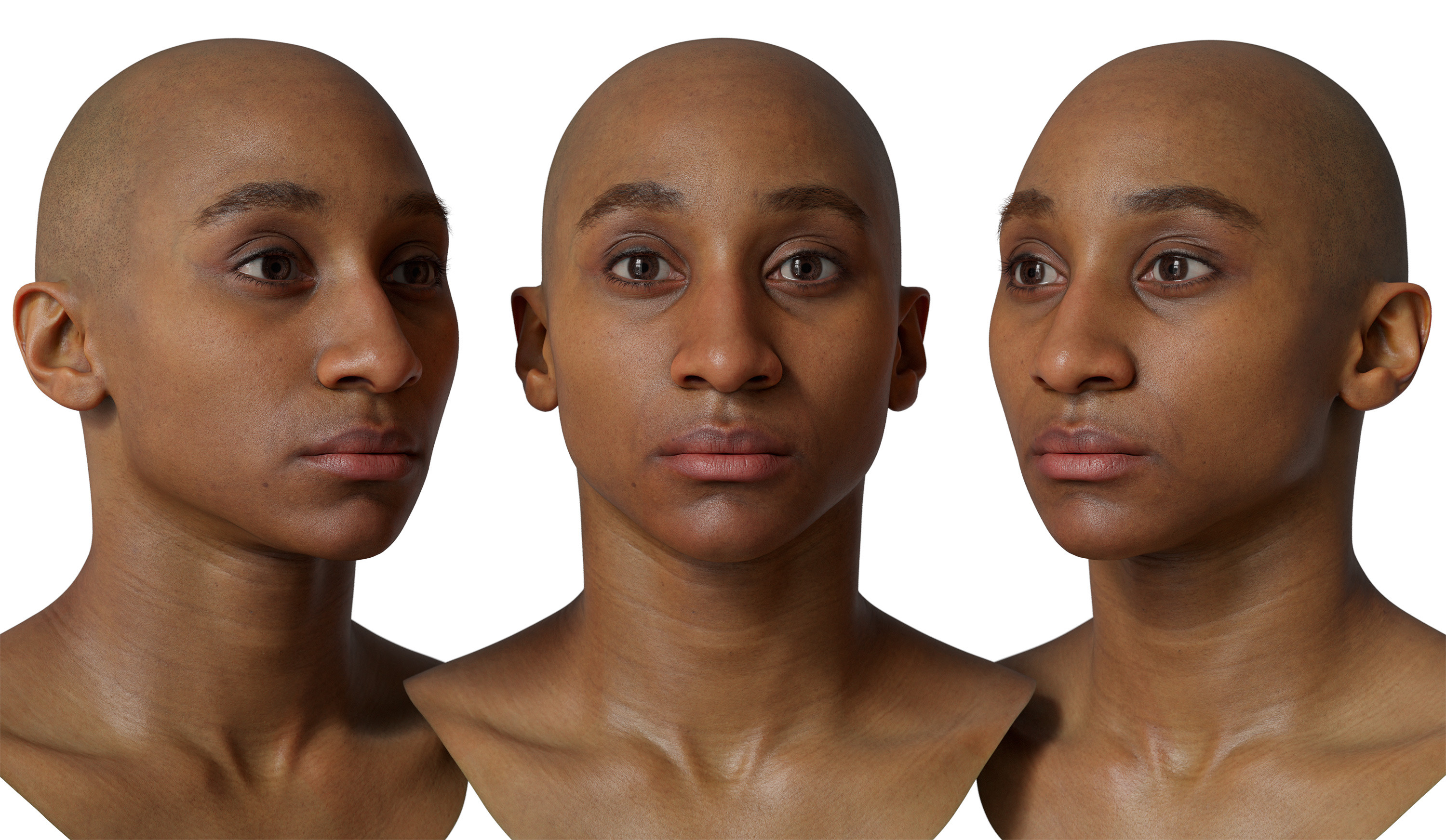 3D Scan Store - 80 x New HD Head Scans