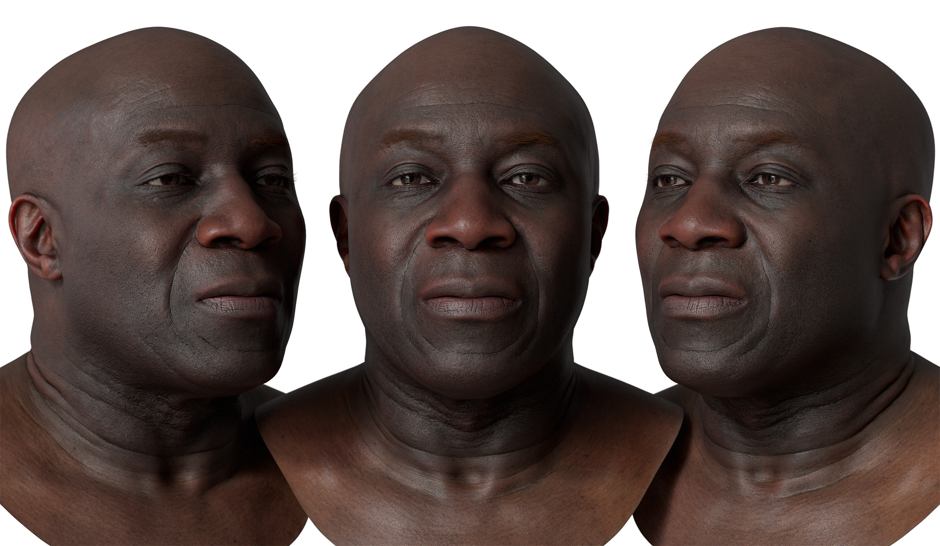 3D Scan Store - 80 x New HD Head Scans