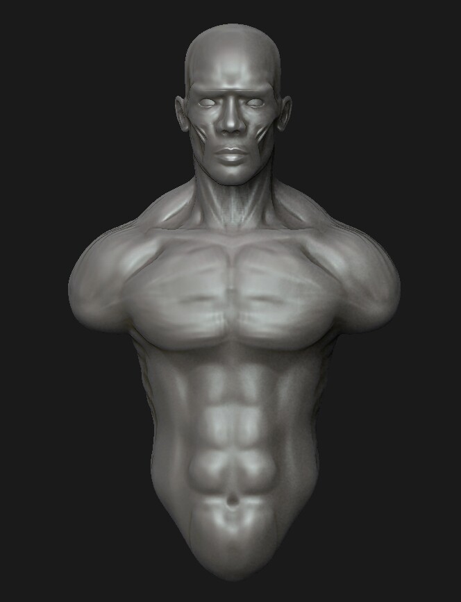 ArtStation - Torso Scultping Study